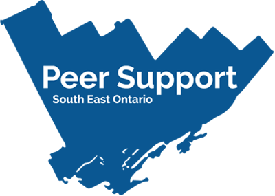 CASE STUDY: Peer Support South East Ontario (PSSEO) | Cloud Metric Inc.